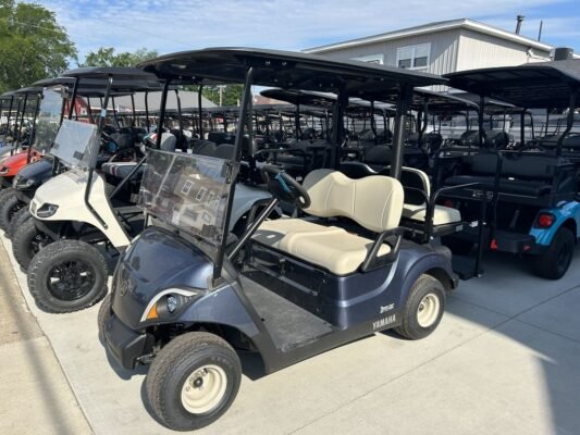 2024 Evolution D3 electric golf cart - R&R Performance LLC: Your Source ...